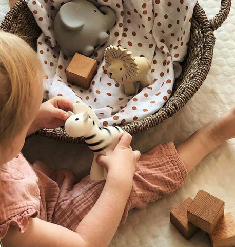 Gisela Graham - Mrs Best Paper Co.